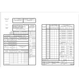 Foaie de parcurs autovehicule marfa A4 | Papetti